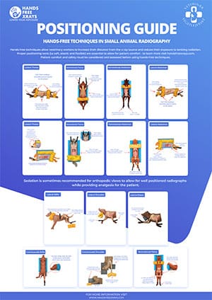 positioning_guide - Veterinærsygeplejerskernes Fagforening