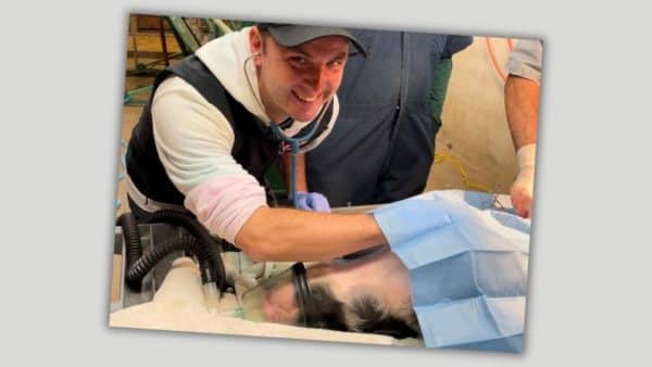 VET-Alex-Topfoto - Veterinærsygeplejerskernes Fagforening